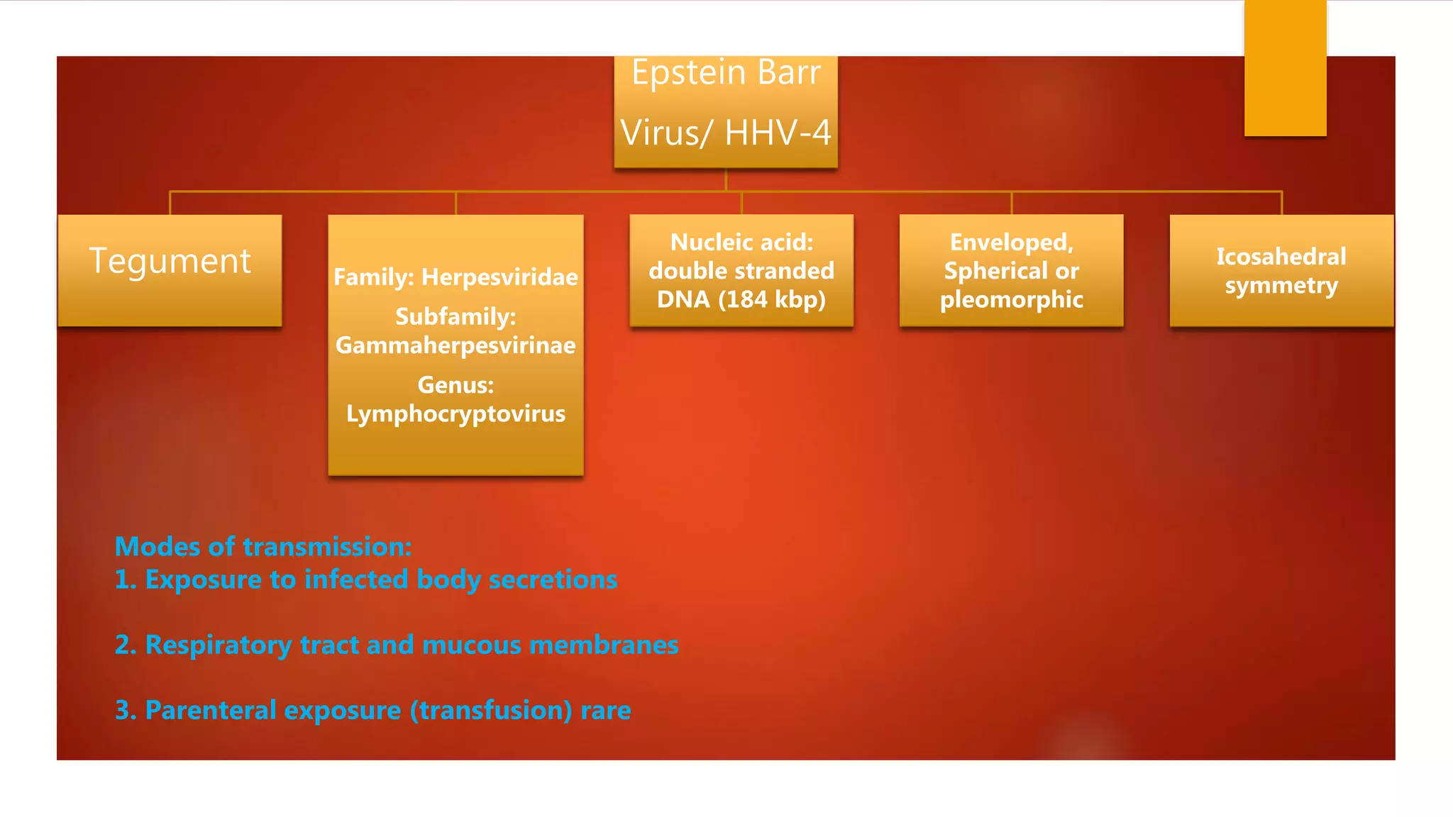 HODGKIN'S DISEASE ASSOCIATED EPSTEIN BARR VIRUS INFECTION | PPTX
