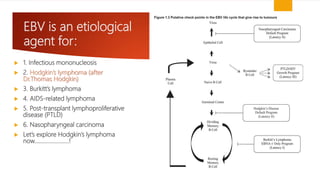 HODGKIN'S DISEASE ASSOCIATED EPSTEIN BARR VIRUS INFECTION | PPT