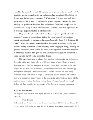 Evaluating Effects of early- and late-onset rasgap-2 mutations on C ...
