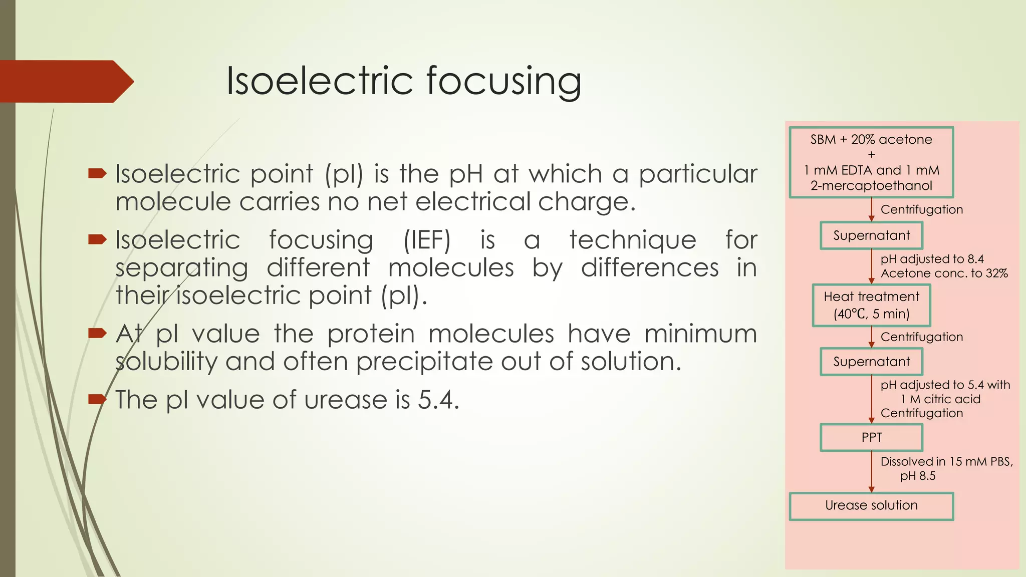 Purification of Urease from Sword Bean for Clinical Use | PPTX