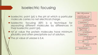 Purification of Urease from Sword Bean for Clinical Use | PPTX