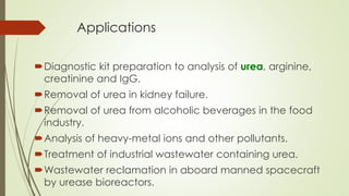 Purification of Urease from Sword Bean for Clinical Use | PPTX