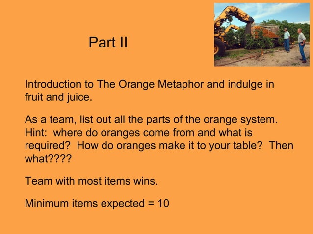 Systems Thinking The Orange Metaphor | PPT