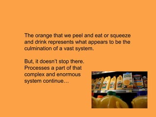 Systems Thinking The Orange Metaphor | PPT
