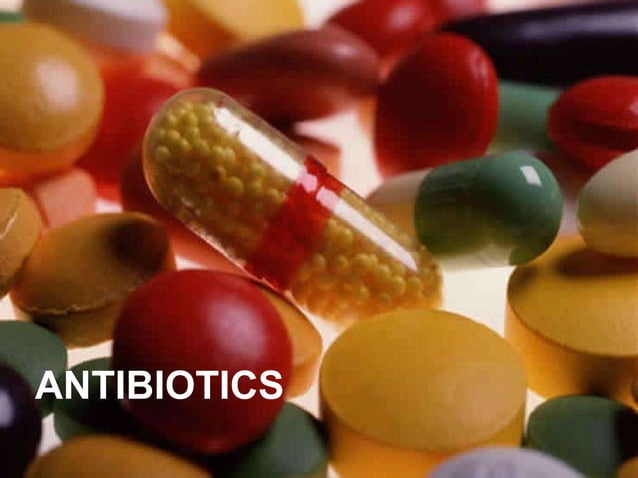 FUNGI THE NON GREEN PLANTS | PPT