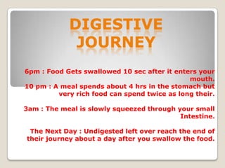 Digestive System | PPTX | Chemistry | Science