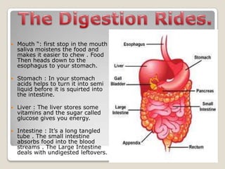 Digestive System | PPTX | Chemistry | Science