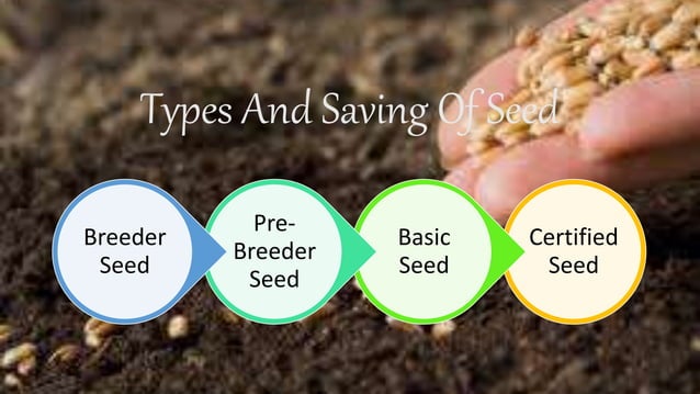 SEED LAWS AND ACTS | PPT