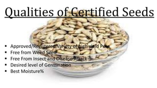 SEED LAWS AND ACTS | PPT