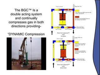 BGC description | PDF