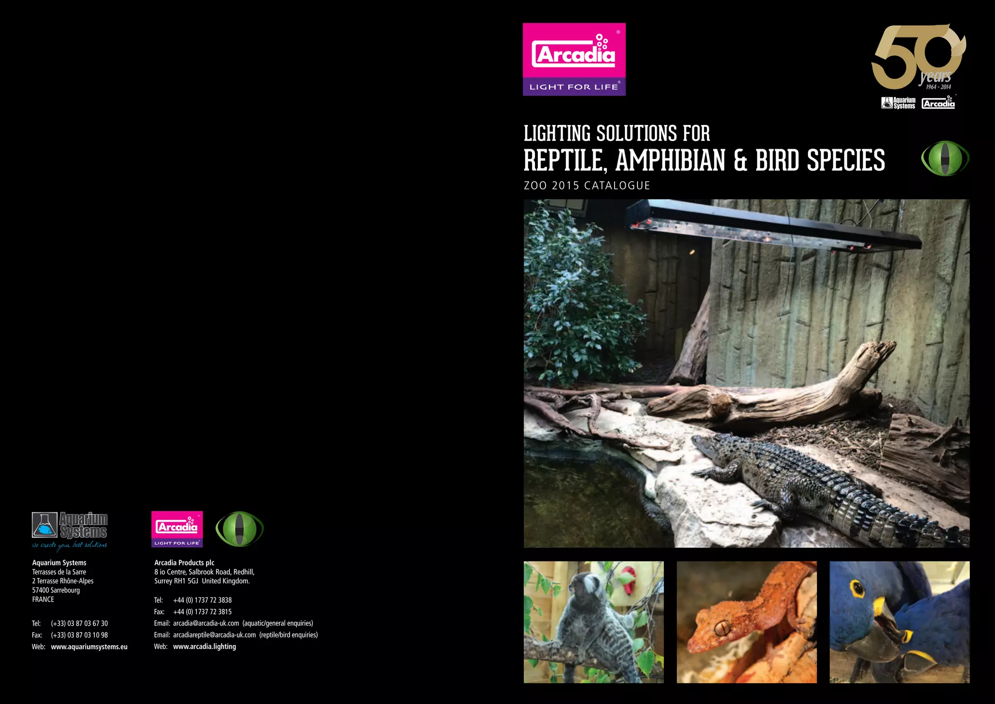 Reptile Zoo Catalogue | PPT