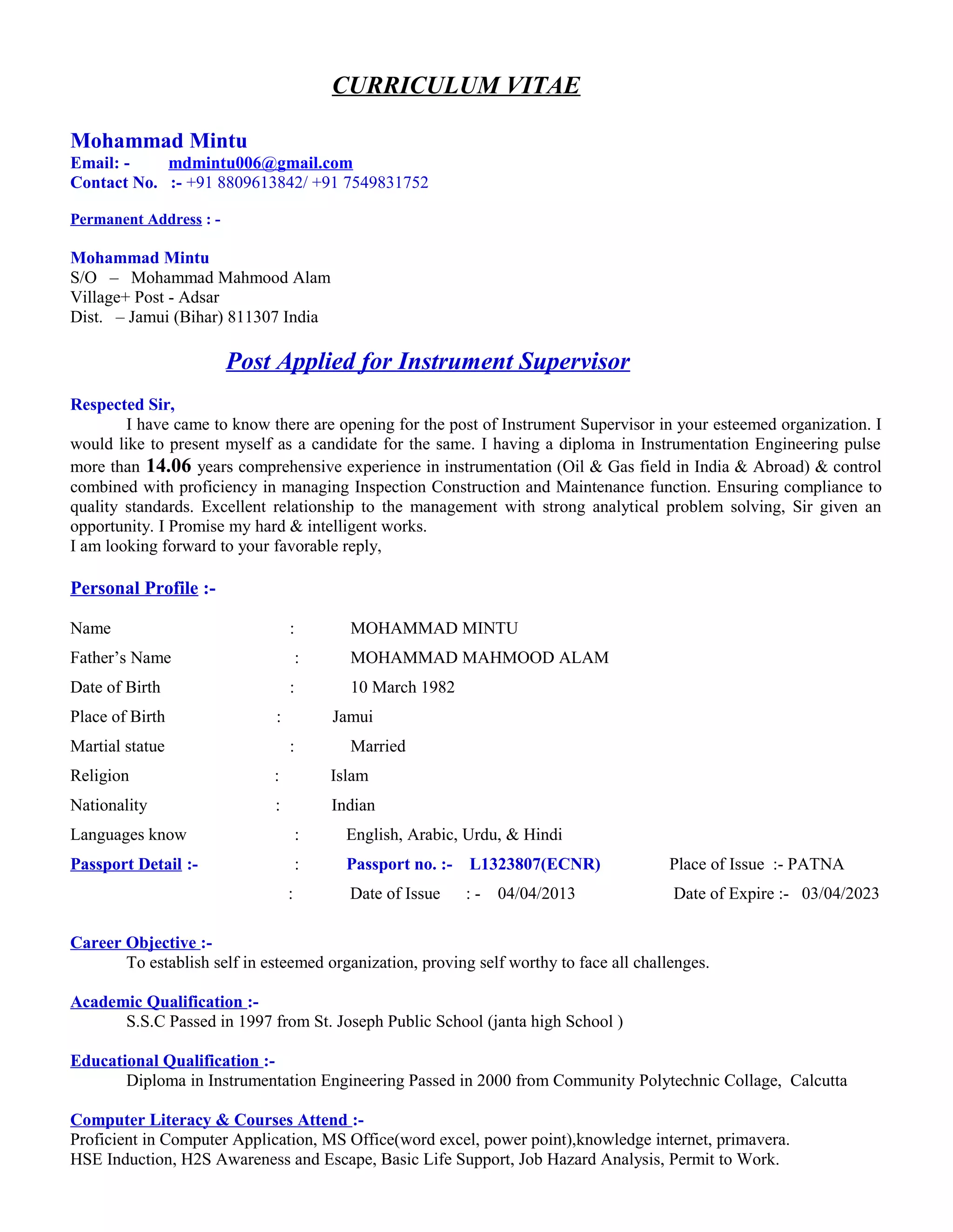 mintu updated cv | PDF