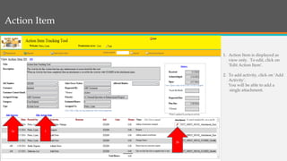 Action_Item_ACCESS_Database | PDF