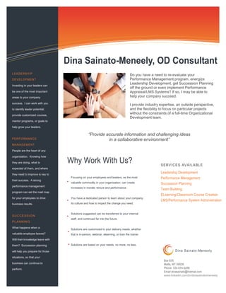 Dina Brochure | PDF