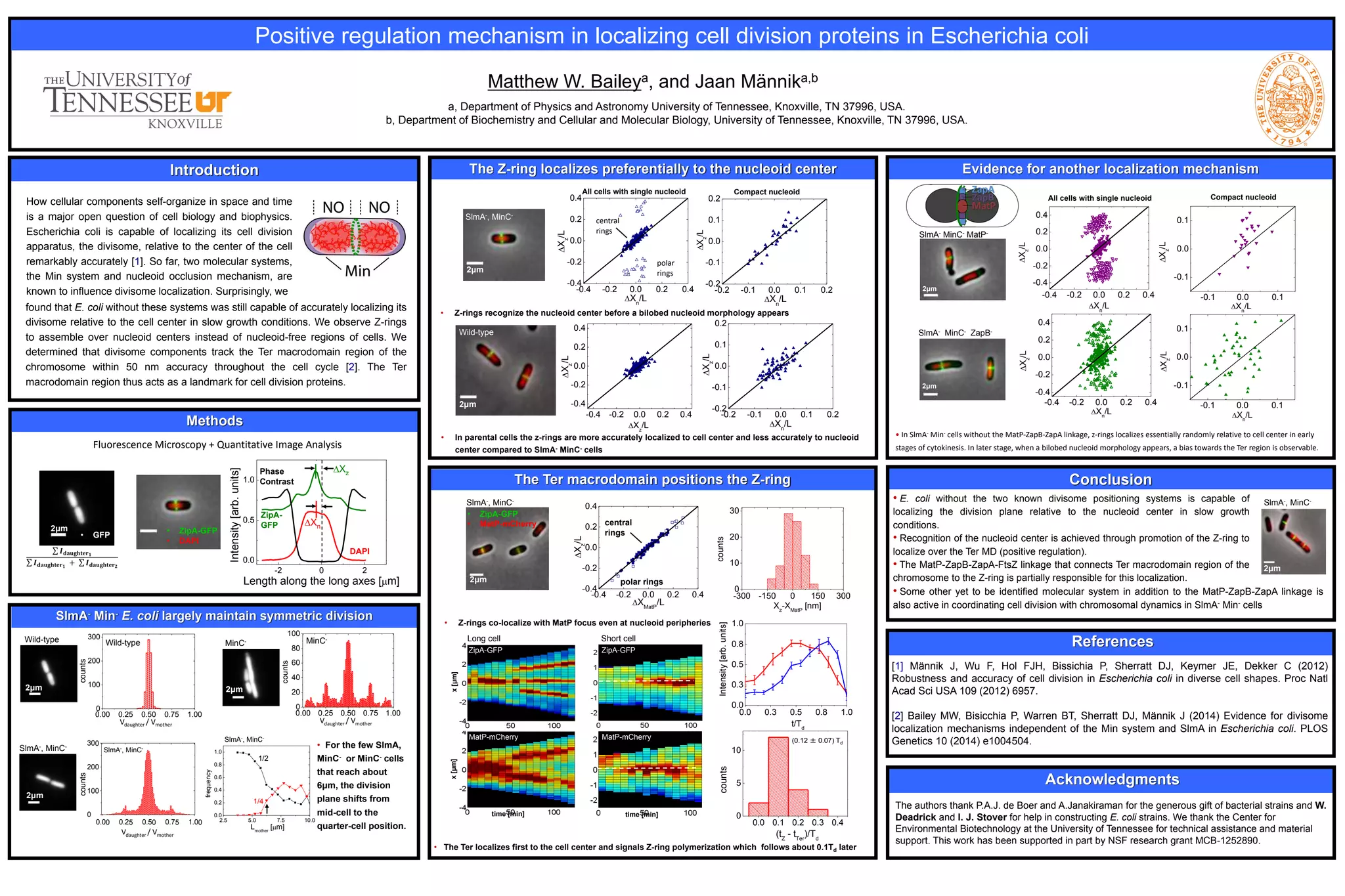 BPS Poster 2015 matt bailey | PPTX
