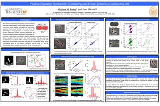 BPS Poster 2015 matt bailey | PPTX