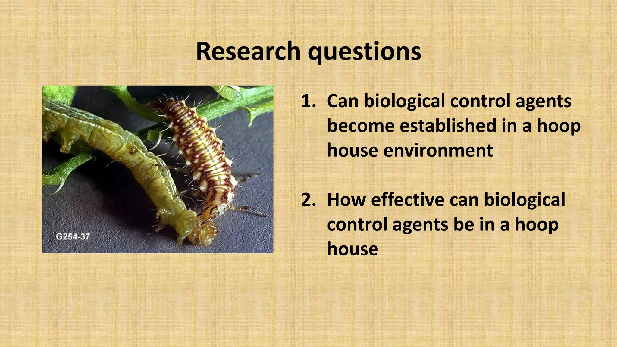 Aphid biocontrol presentation | PPTX