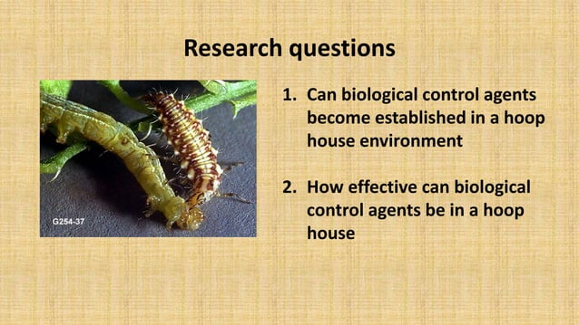 Aphid biocontrol presentation | PPT