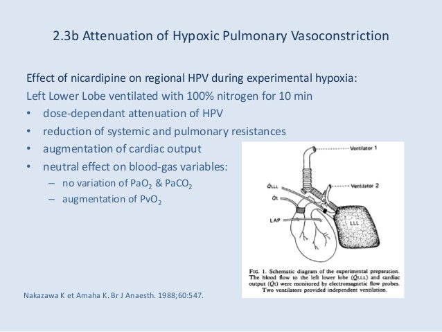 Hypoxic pulmonary vasoconstriction & hypertensive crisis