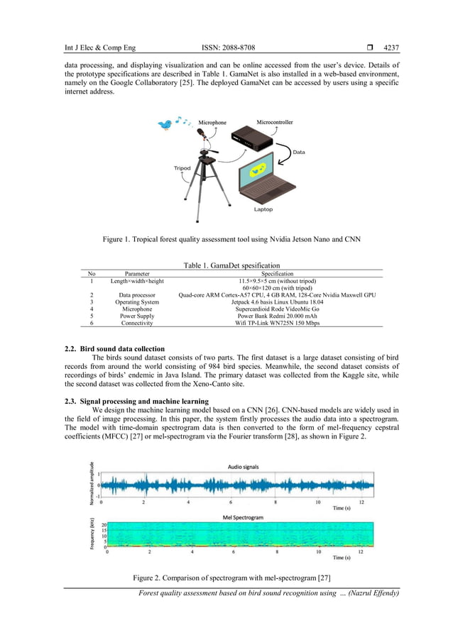 Forest quality assessment based on bird sound recognition using convolutional neural networks ...