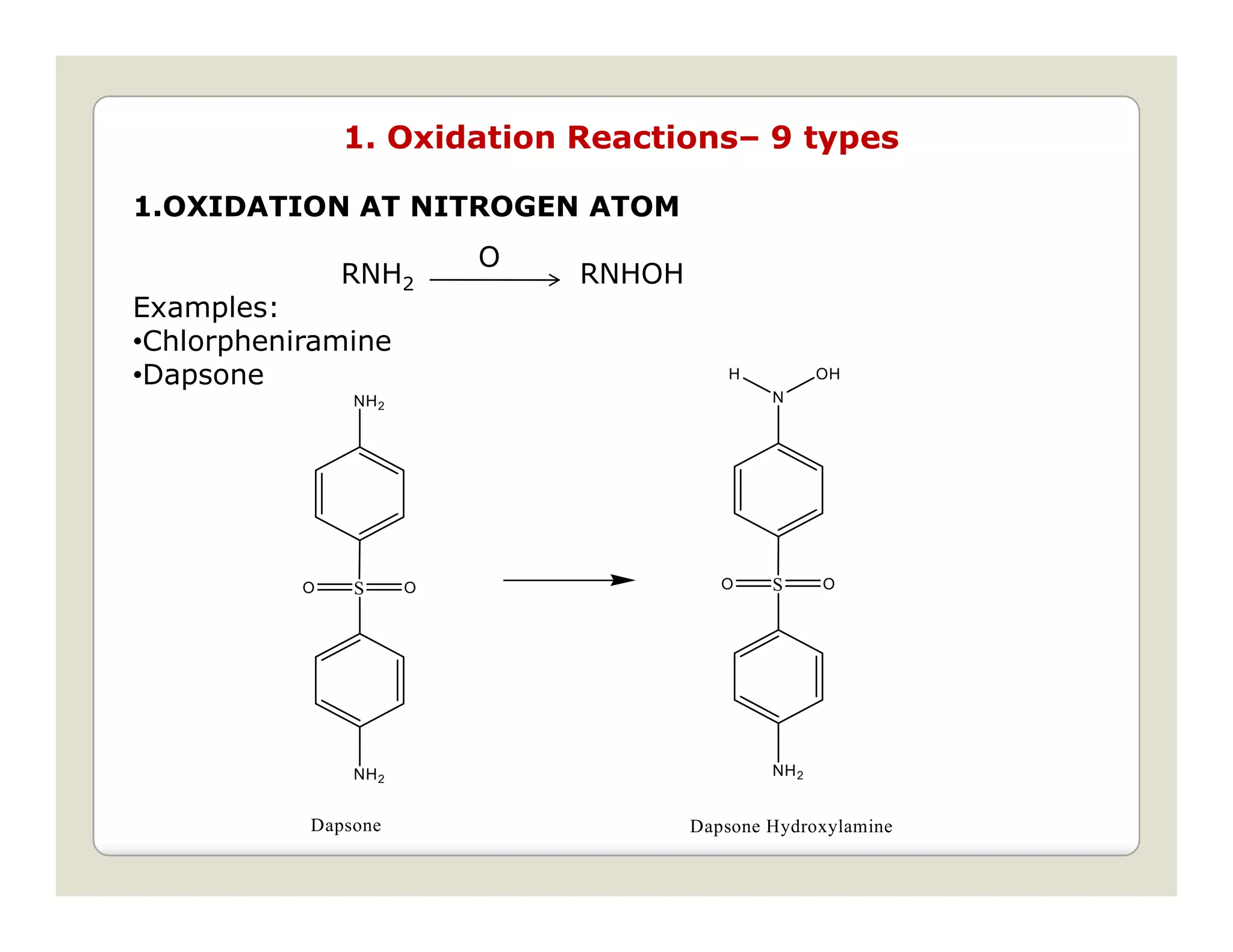 Drug Metabolism.pdf