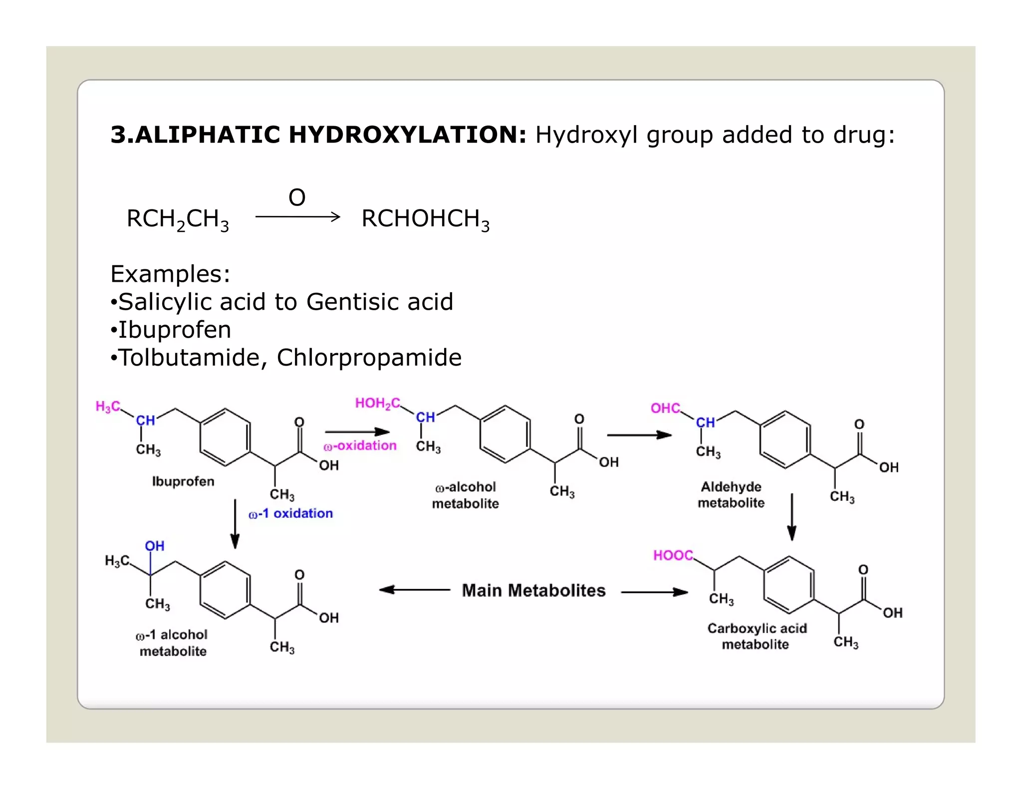 Drug Metabolism.pdf