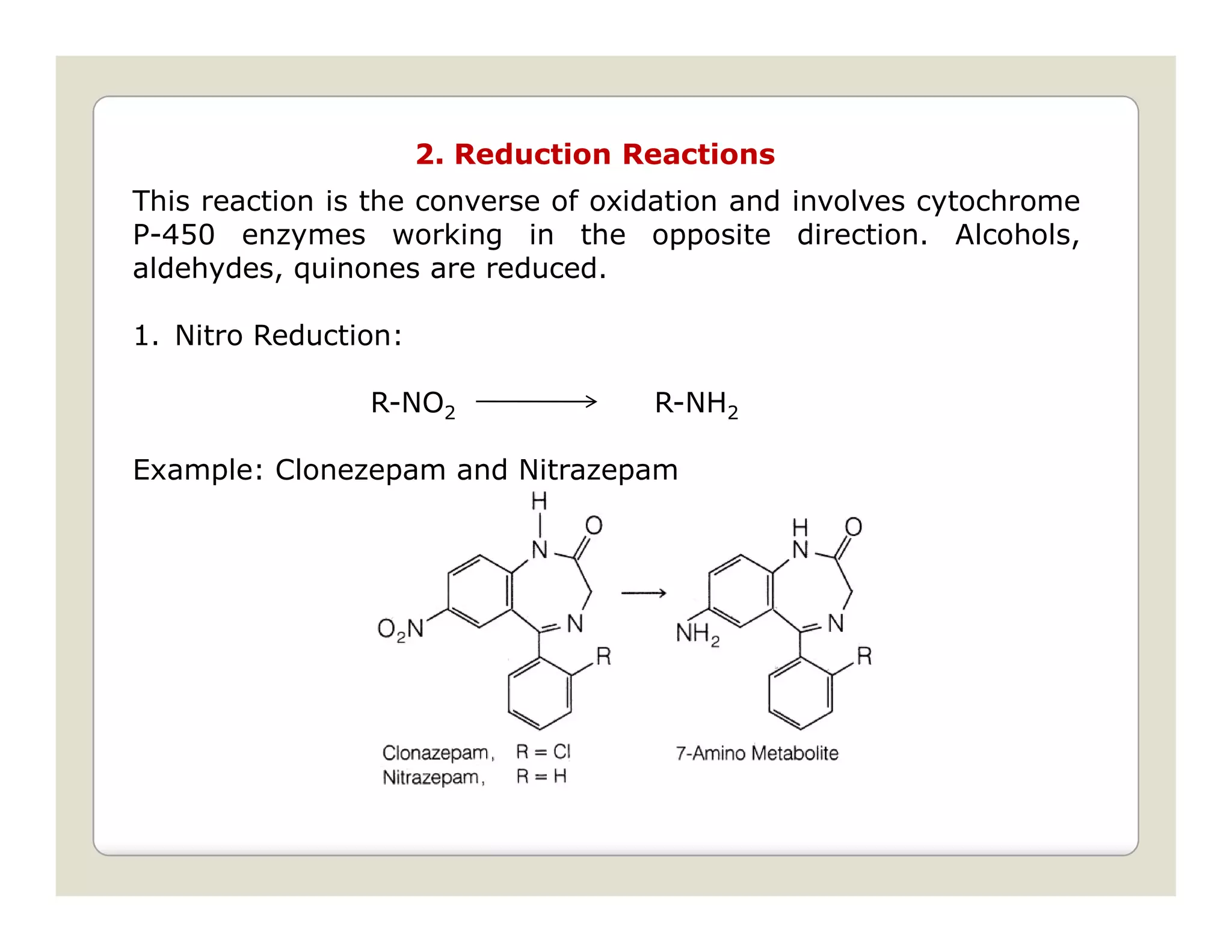 Drug Metabolism.pdf