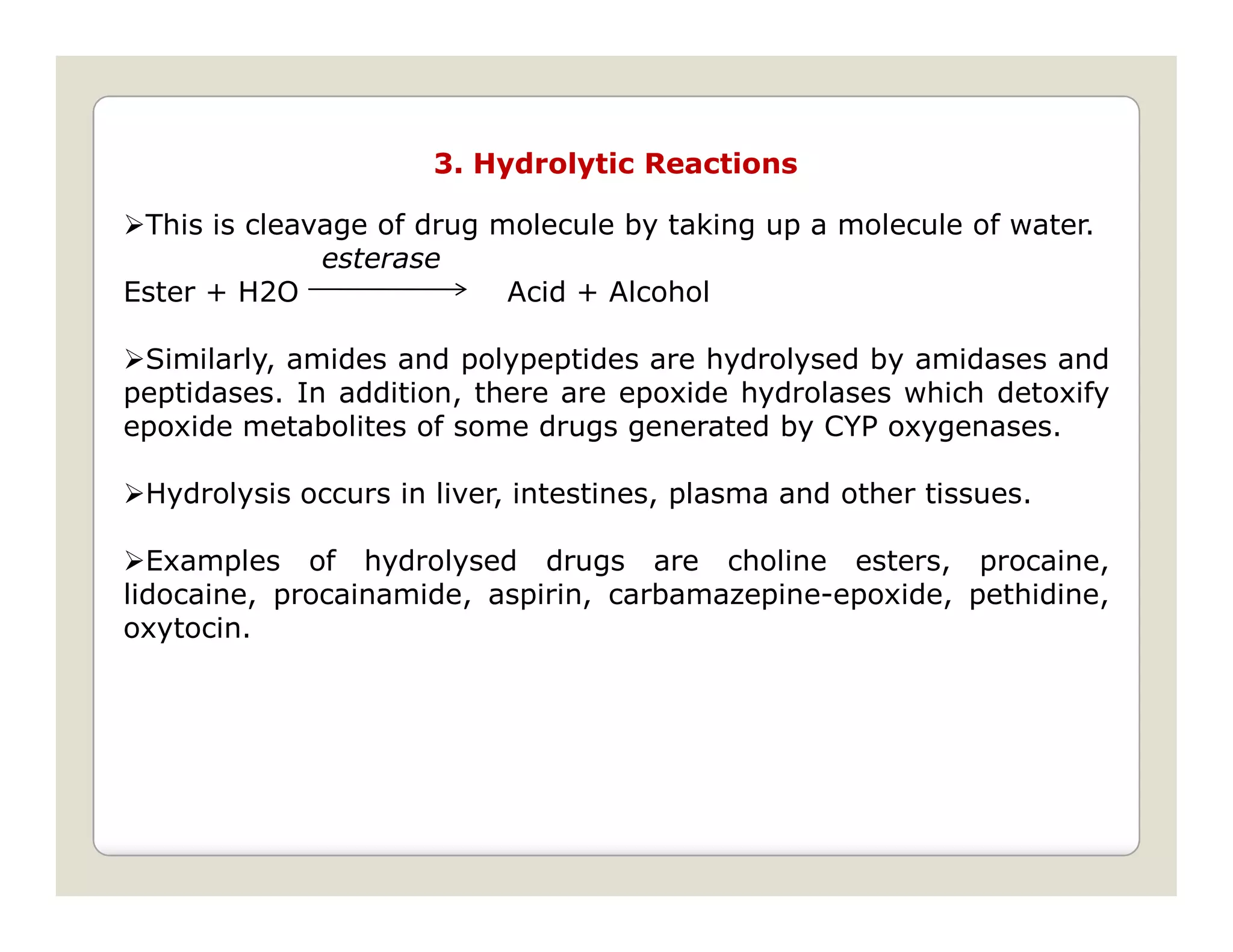 Drug Metabolism.pdf