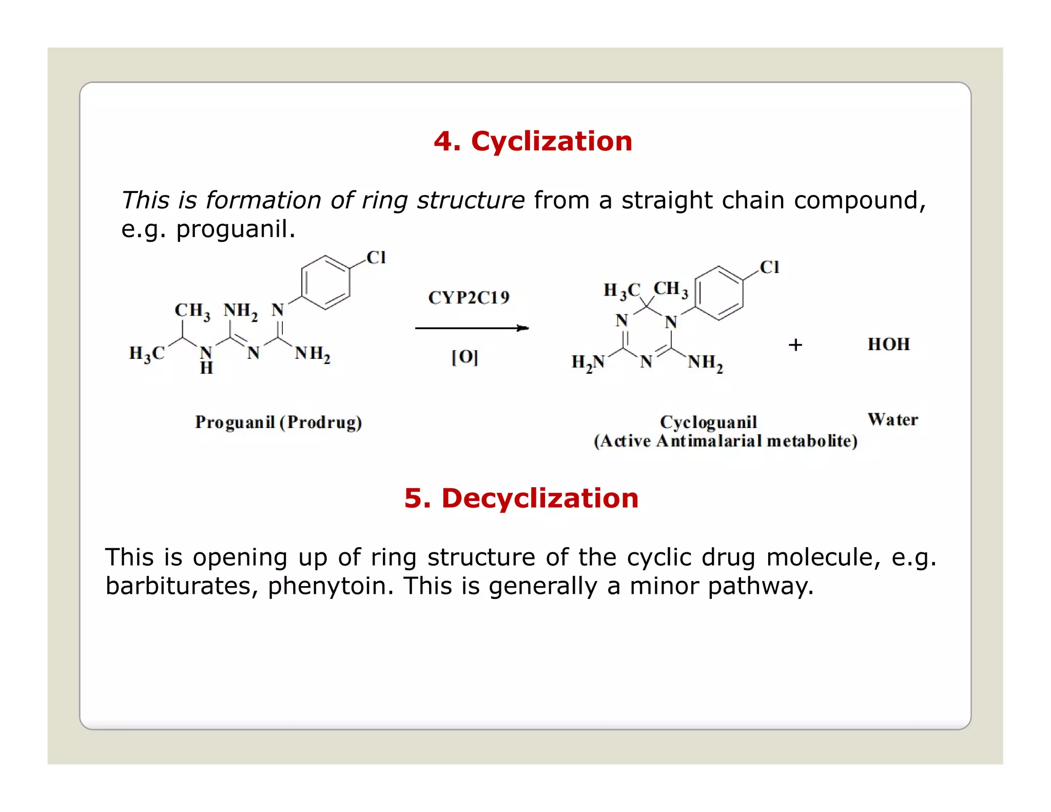 Drug Metabolism.pdf