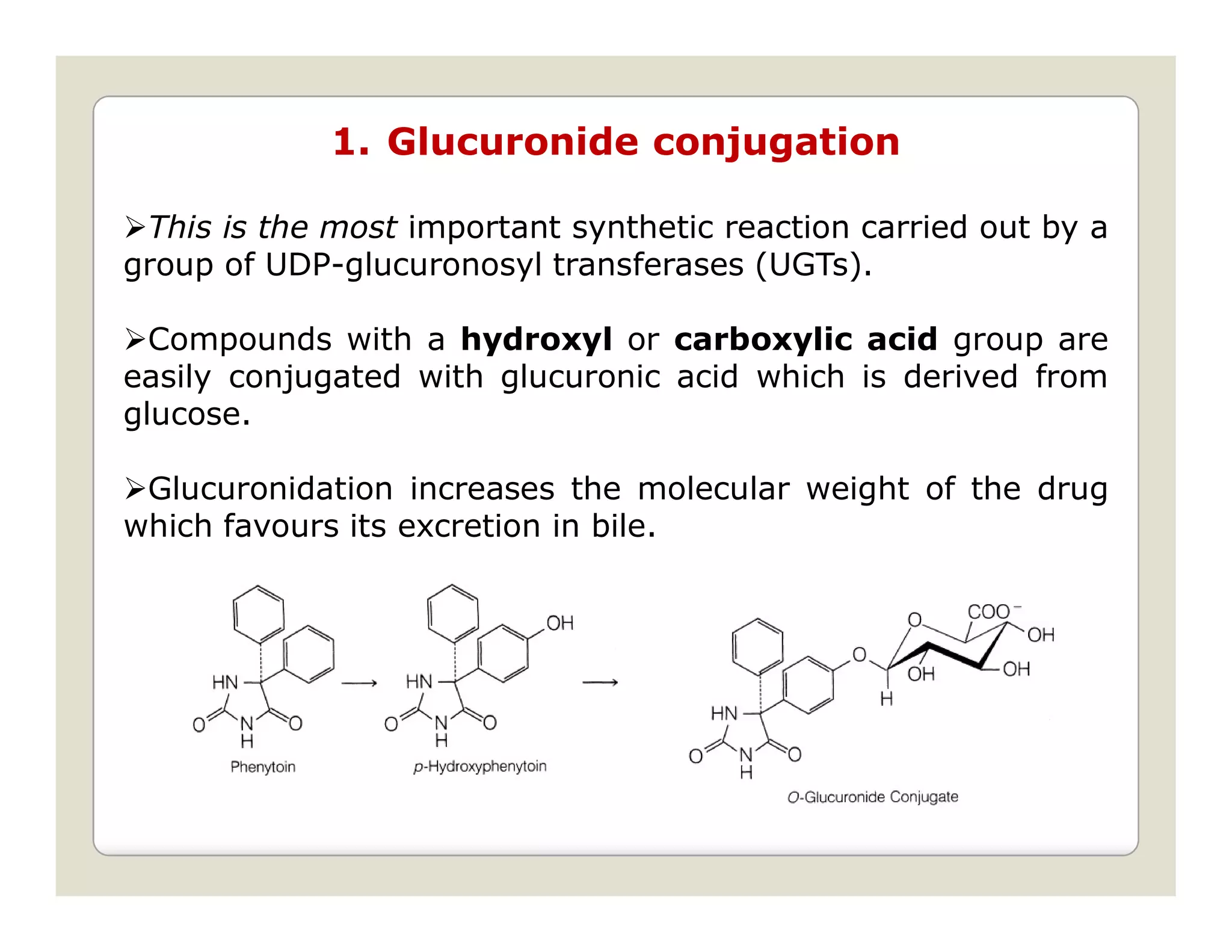 Drug Metabolism.pdf