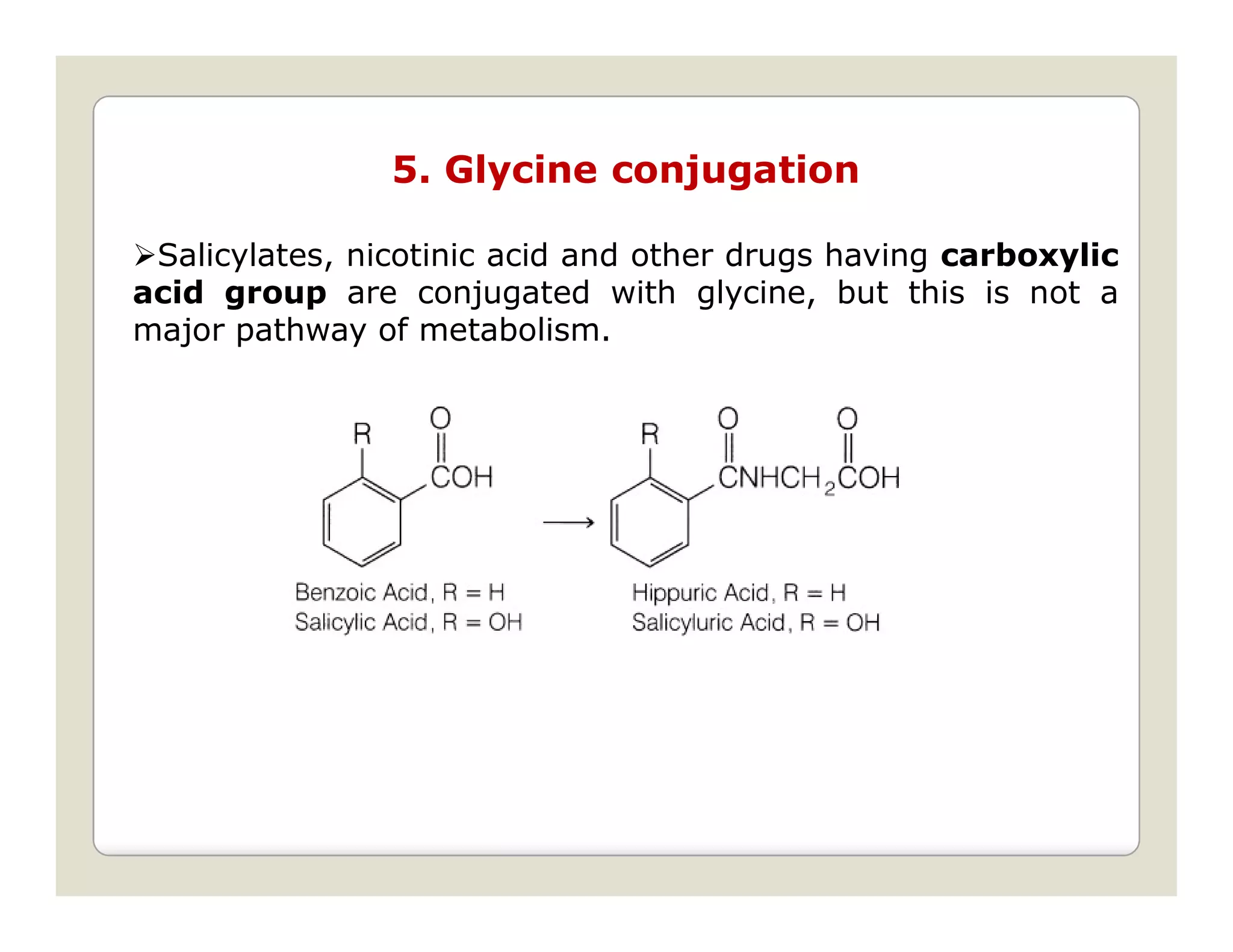 Drug Metabolism.pdf