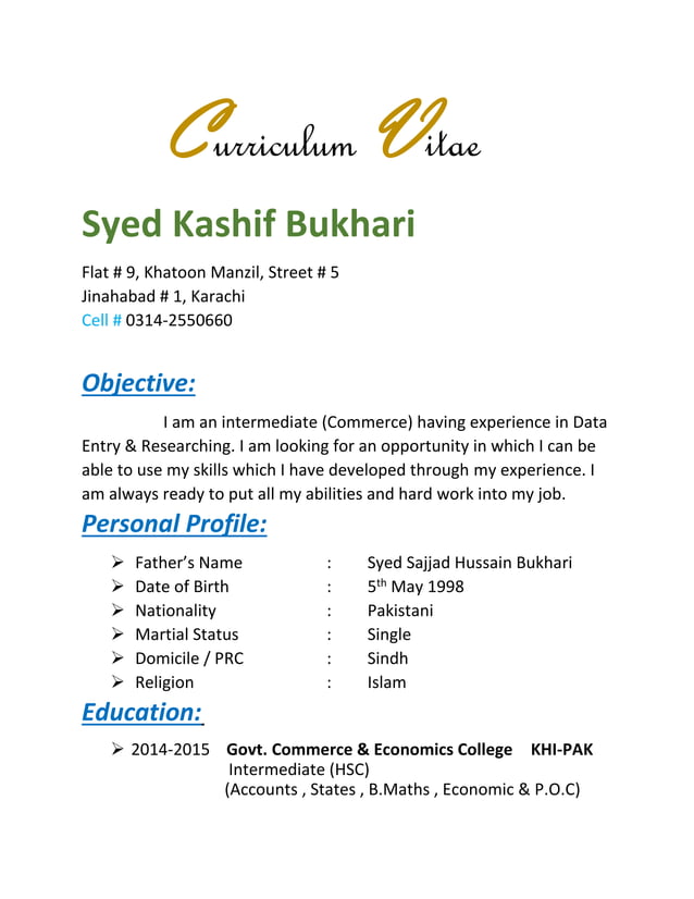 Kashif_CV | PDF