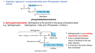 Biochemistry of lipids and fatty acids chemistry | PPT
