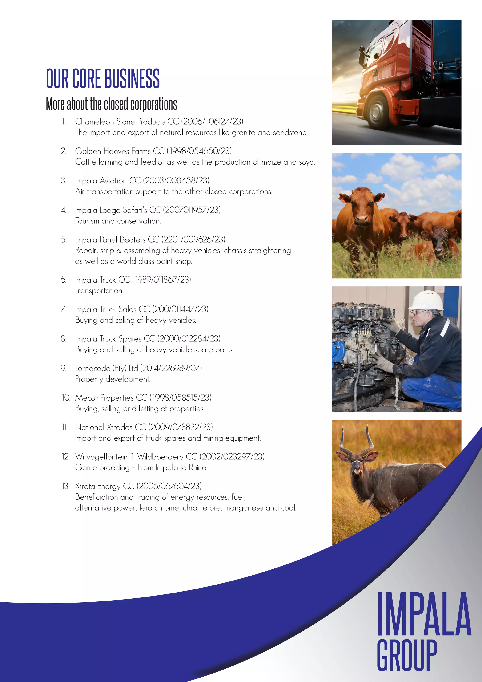 Impala Company profile | PDF