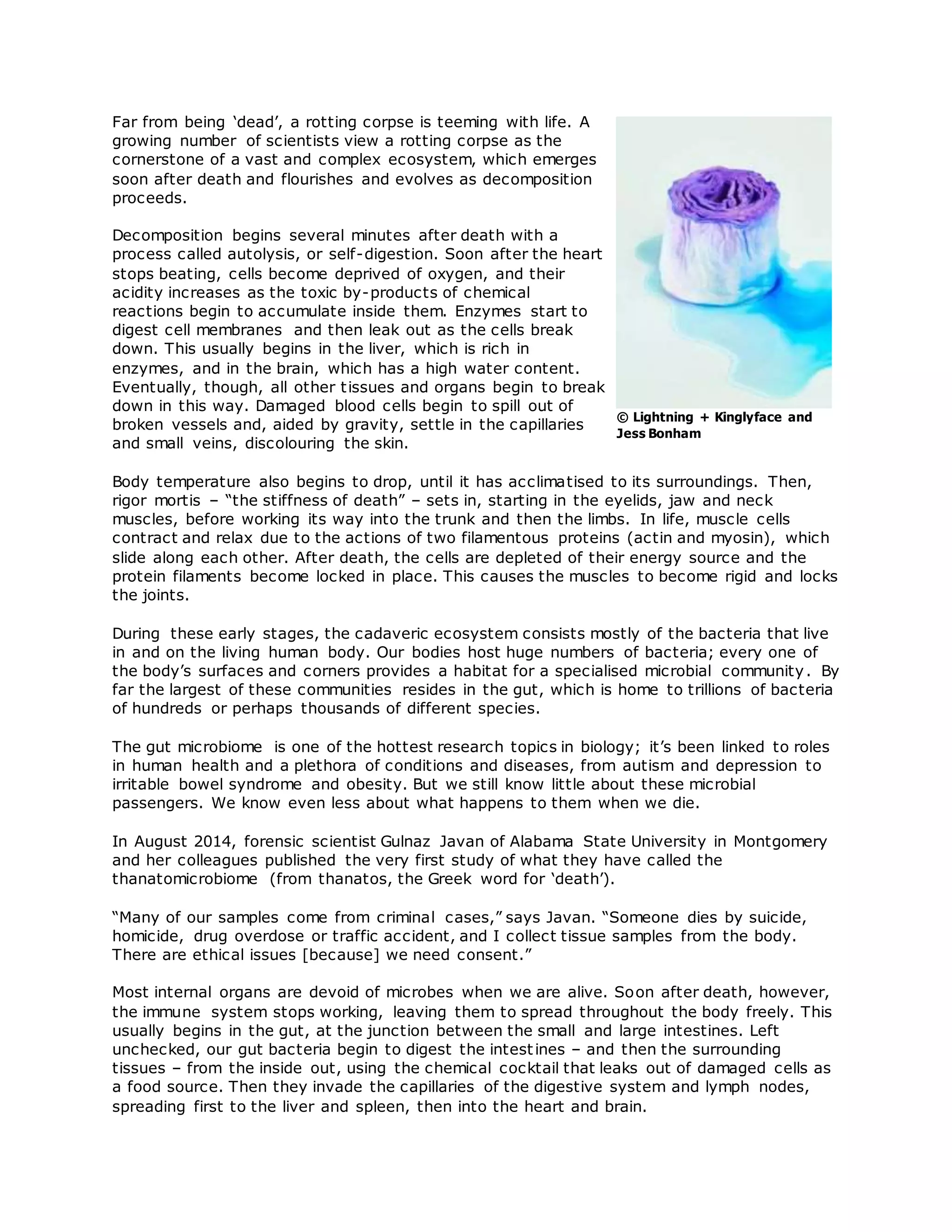 This is what happens after you die | DOCX