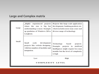 PPT_Management of Large and Complex Software Projects | PPTX