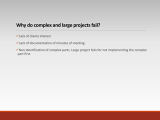PPT_Management of Large and Complex Software Projects | PPTX