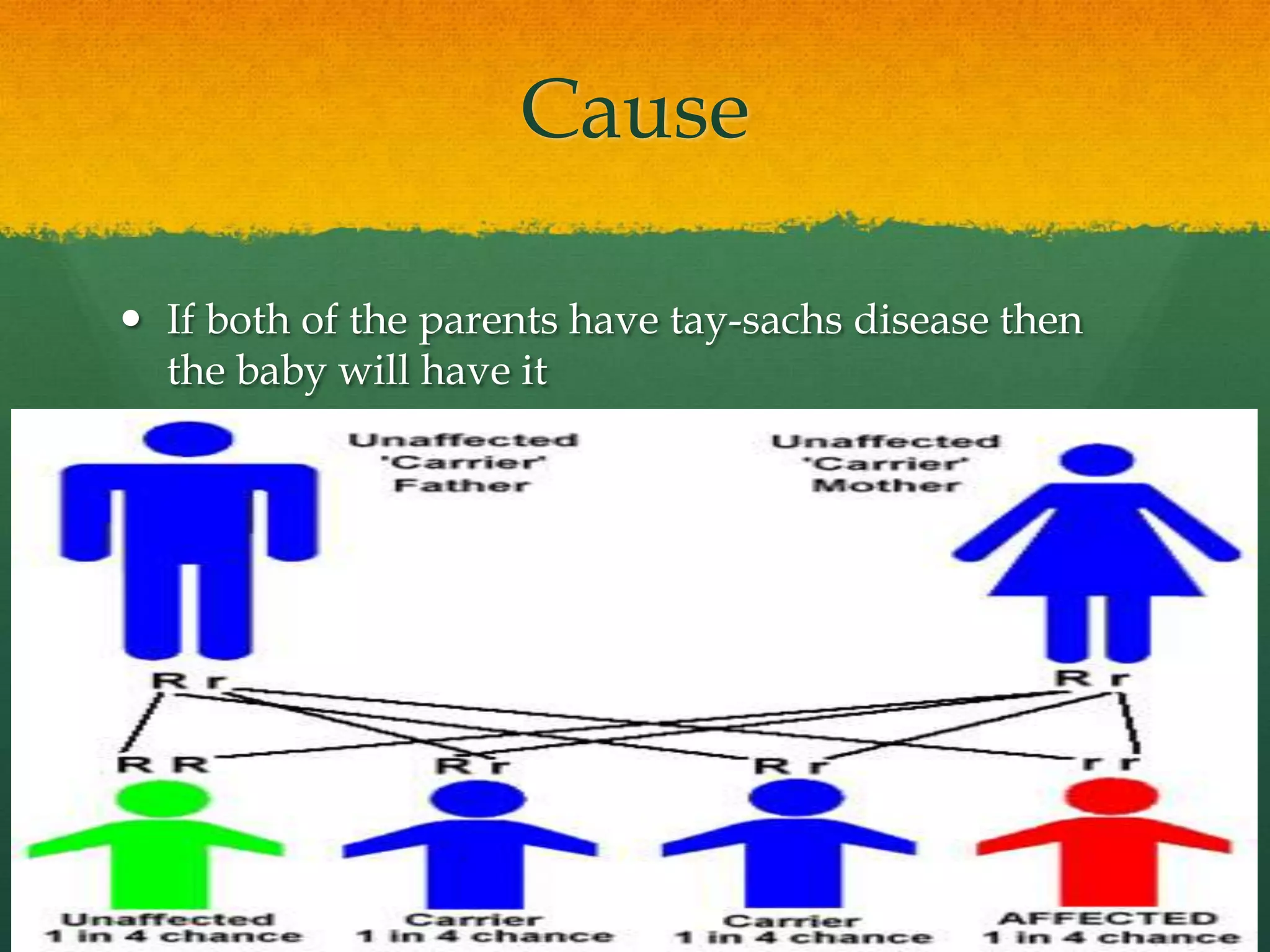 justin tay sachs disease | PPT