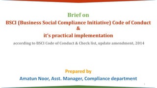 BSCI Guideline | PDF