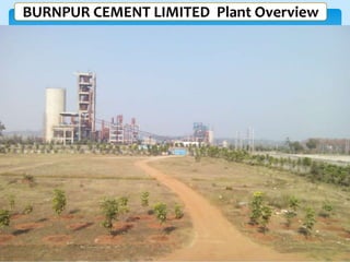 Plant Photo At a Glance | PPT