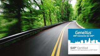 GeneXus ERP connector para SAP ERP | PDF