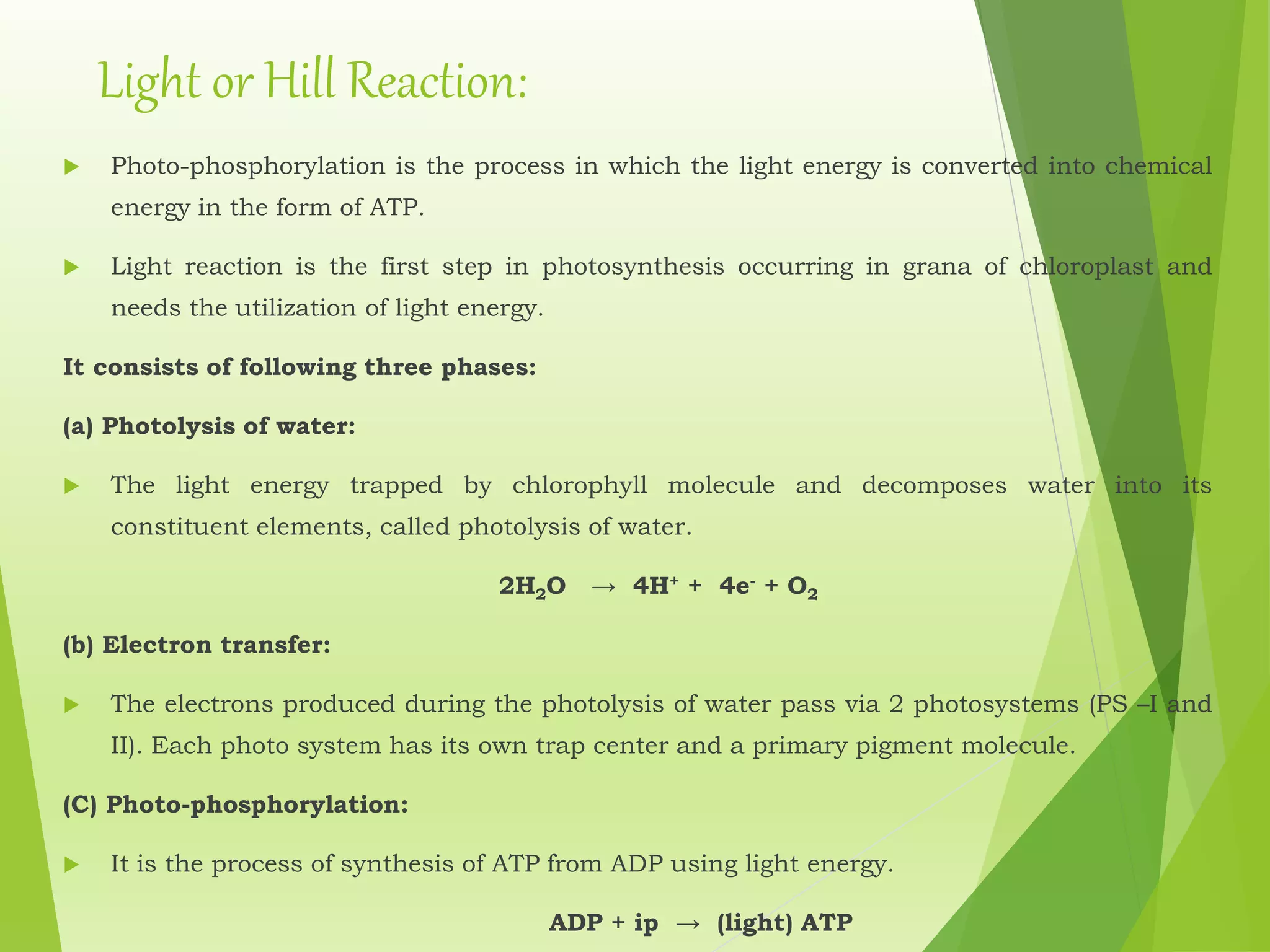 Photosynthesis (Light and Dark reaction of photosynthesis) | PPTX
