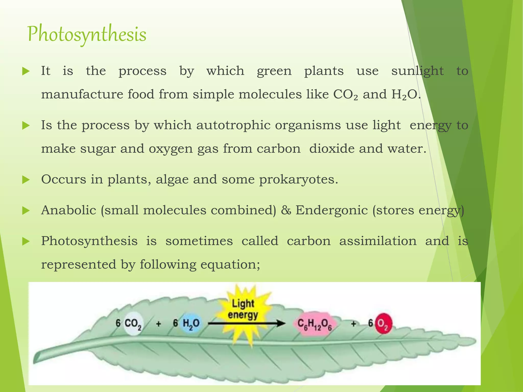 Photosynthesis (Light and Dark reaction of photosynthesis) | PPTX