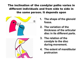 8,9 mandibular movements ( white ).pdbbf | PDF