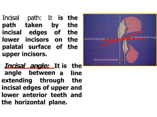 8,9 mandibular movements ( white ).pdbbf | PDF