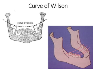 8,9 mandibular movements ( white ).pdbbf | PDF