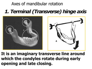8,9 mandibular movements ( white ).pdbbf | PDF