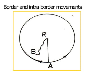 8,9 mandibular movements ( white ).pdbbf | PDF