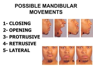 8,9 mandibular movements ( white ).pdbbf | PDF