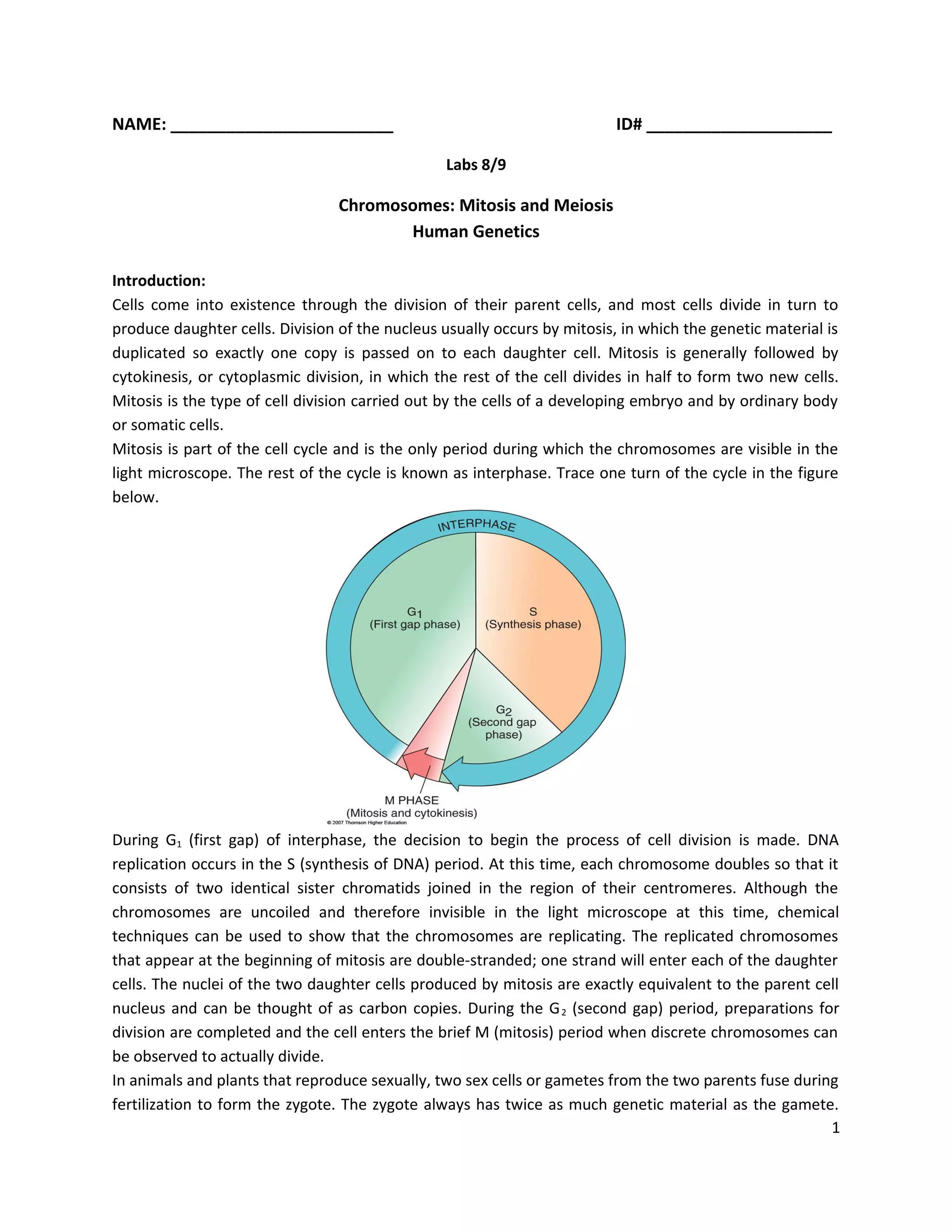 8 9 mitosis meiosis_and_genetics | PDF
